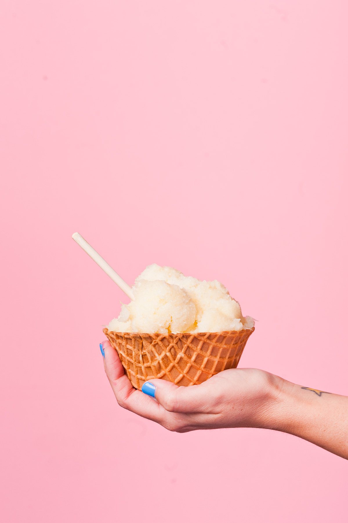 3 Vegan Sorbet Recipes + Colorful DIY Sorbet Bar Idea