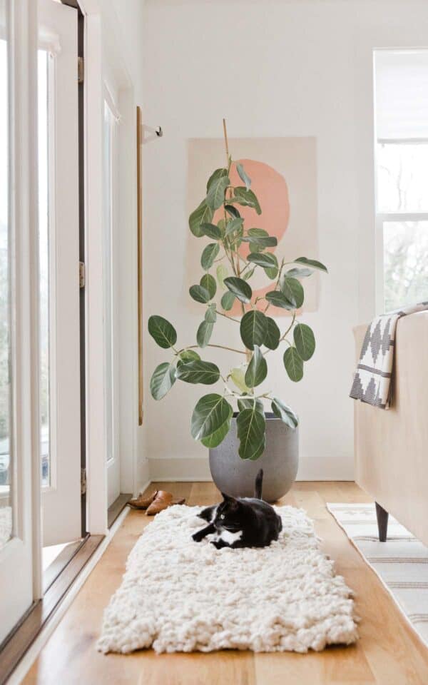 DIY Rug Idea: How to Make a Rug from Scratch (Large Scale)