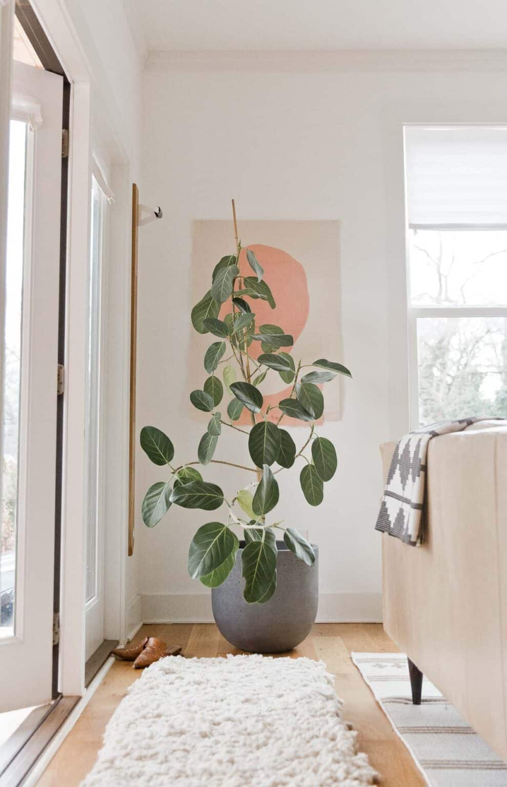 DIY Rug Idea: How to Make a Rug from Scratch (Large Scale)