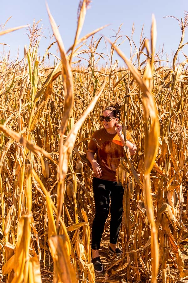 Day Trip to Jaemor Farms (in Alto, Georgia)