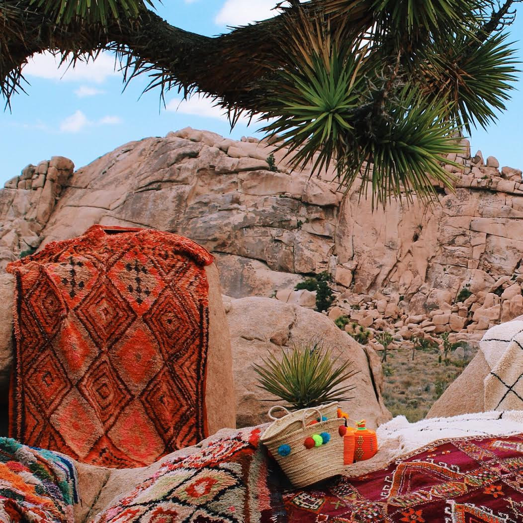 Rug Thug: 17 Rugs that Will Make the Room - Paper and Stitch