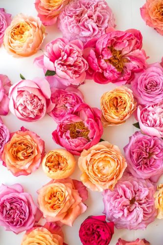 Floating Flower DIY: How to Create a DIY Flower Message (That Also Floats)