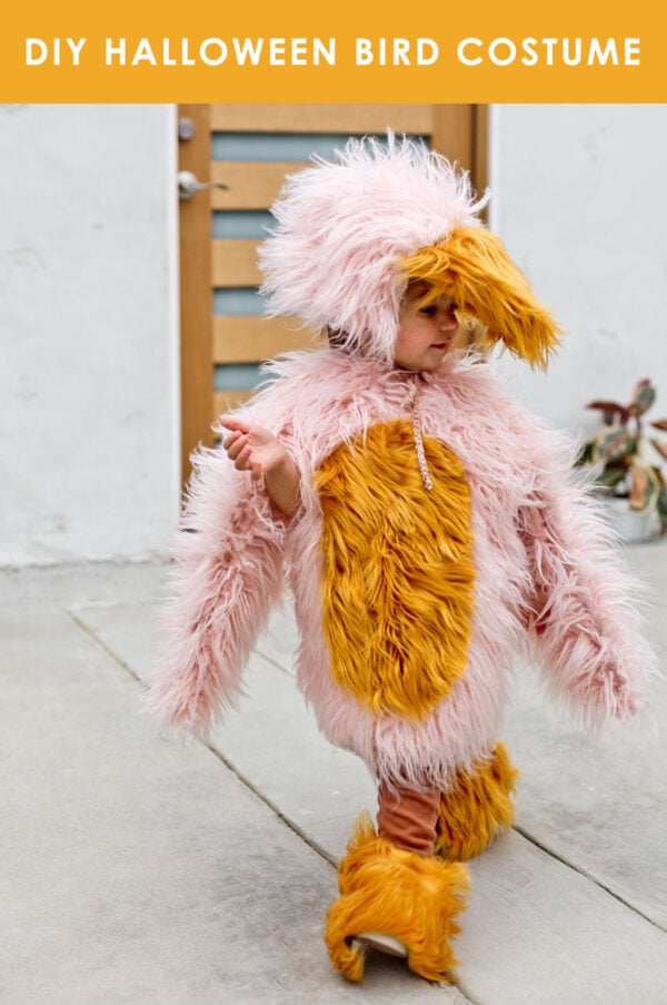 How to Make a Kids Bird Costume for Halloween - Paper and Stitch