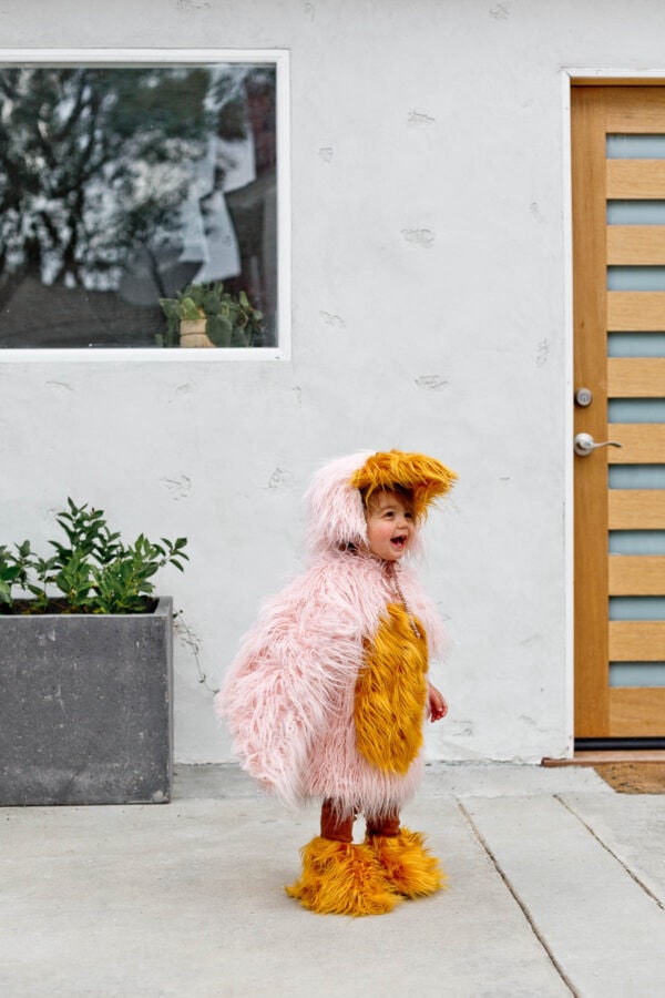 How to Make a Kids Bird Costume for Halloween - Paper and Stitch