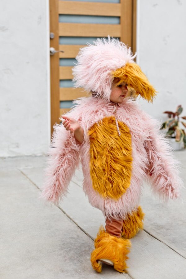 How to Make a Kids Bird Costume for Halloween - Paper and Stitch