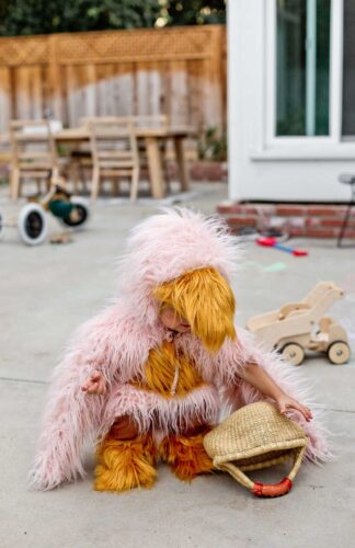 How to Make a Kids Bird Costume for Halloween - Paper and Stitch