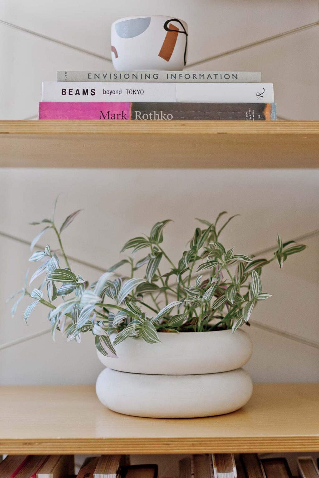 11 Tips for Book Shelf Styling Like a Pro - Paper and Stitch