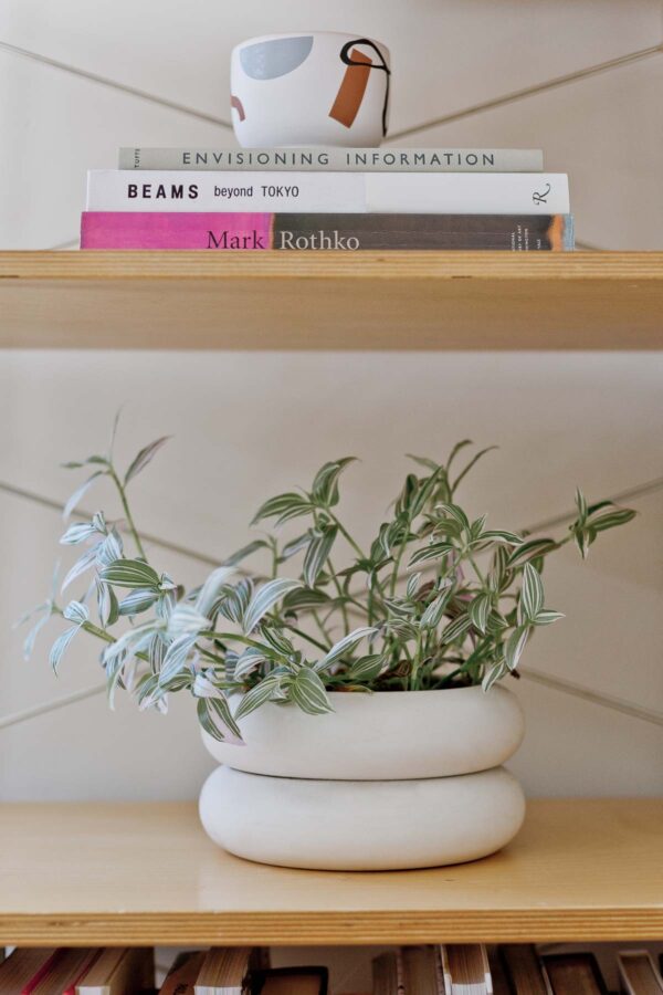 11 Tips for Book Shelf Styling Like a Pro - Paper and Stitch