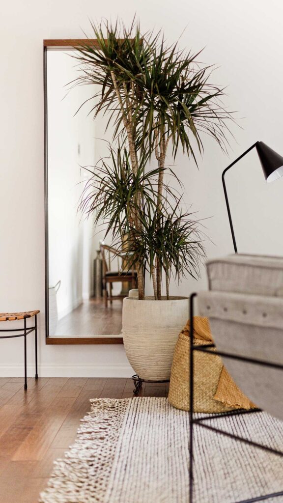 An Organic Modern Living Room Reveal - Paper and Stitch