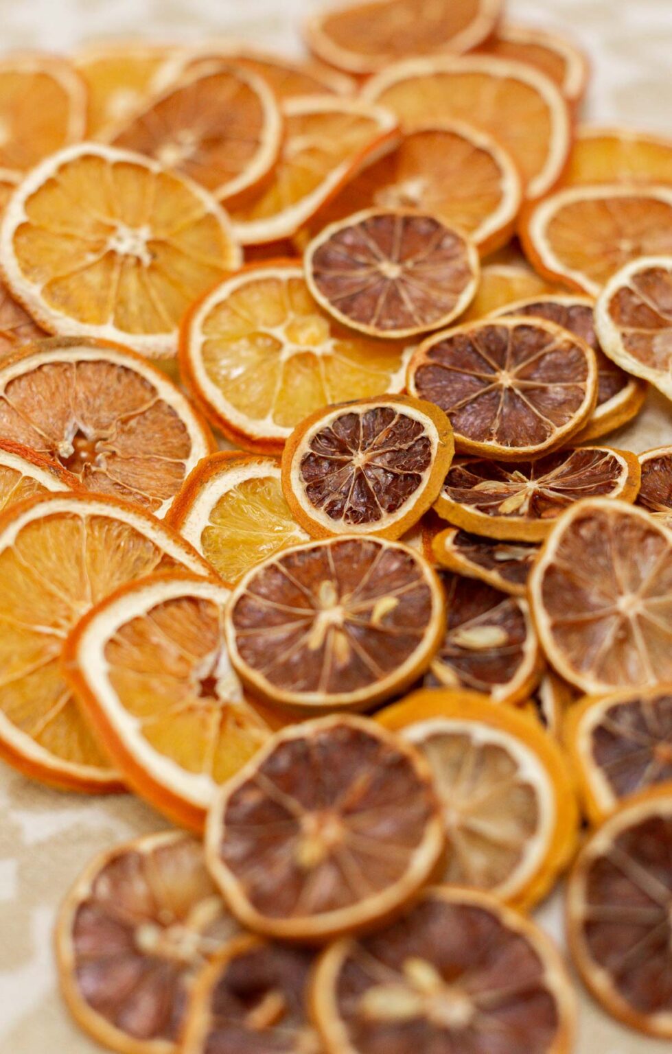 How to Make Citrus Garlands + Mistakes I Made Along the Way