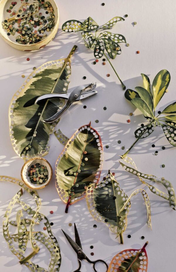 How to Make (No Cost) Biodegradable Confetti - Paper and Stitch