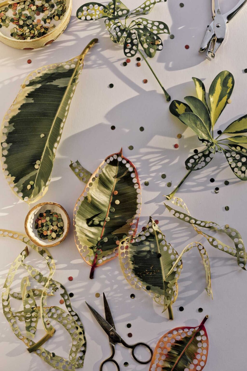 How to Make (No Cost) Biodegradable Confetti - Paper and Stitch