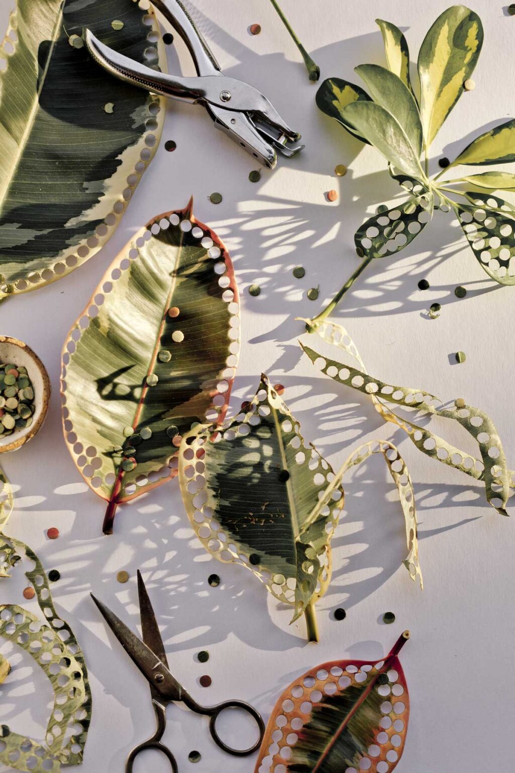 How to Make (No Cost) Biodegradable Confetti - Paper and Stitch