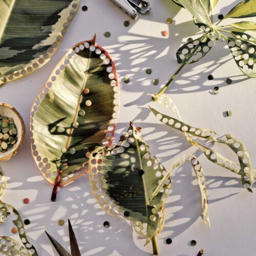 How to Make (No Cost) Biodegradable Confetti - Paper and Stitch