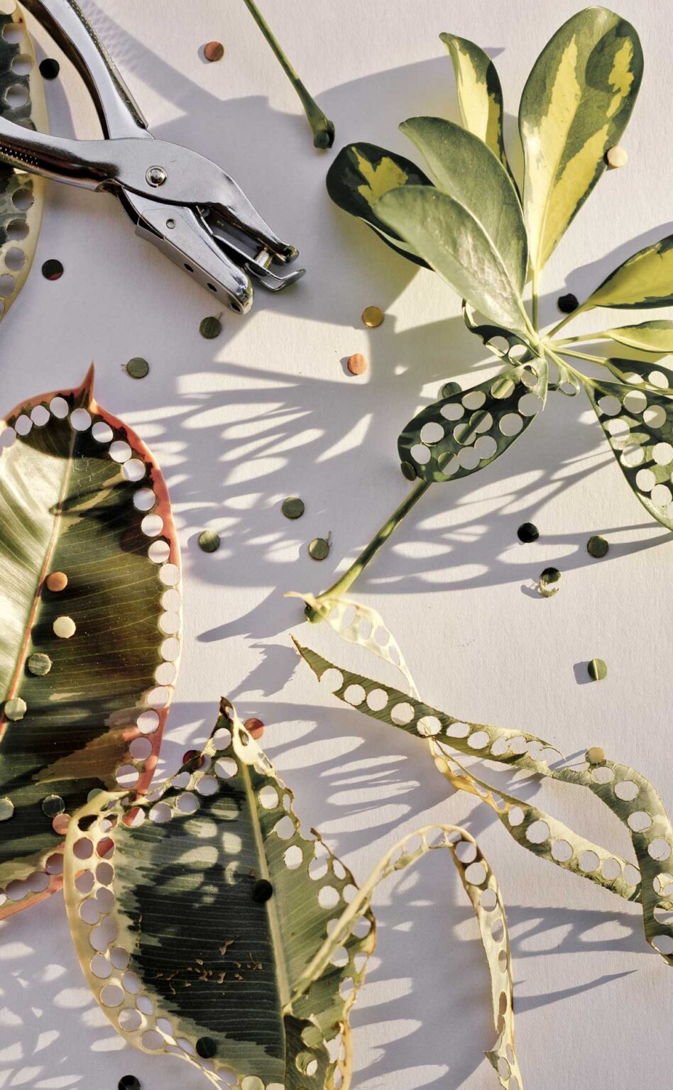 How to Make (No Cost) Biodegradable Confetti - Paper and Stitch