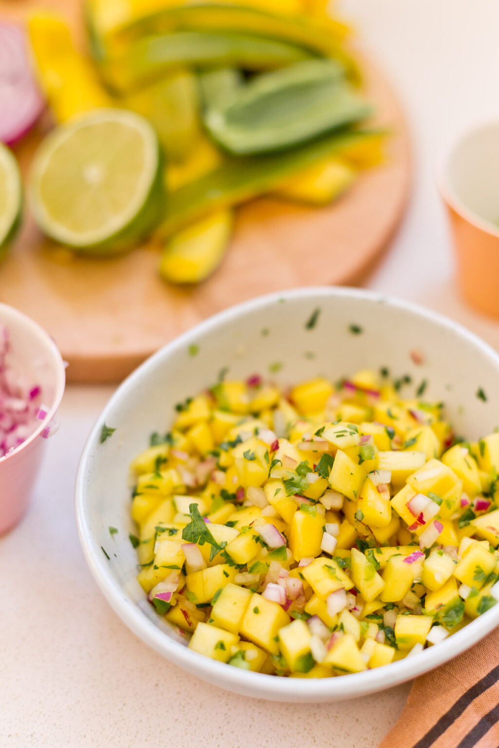Homemade Mango Salsa Recipe - Paper and Stitch