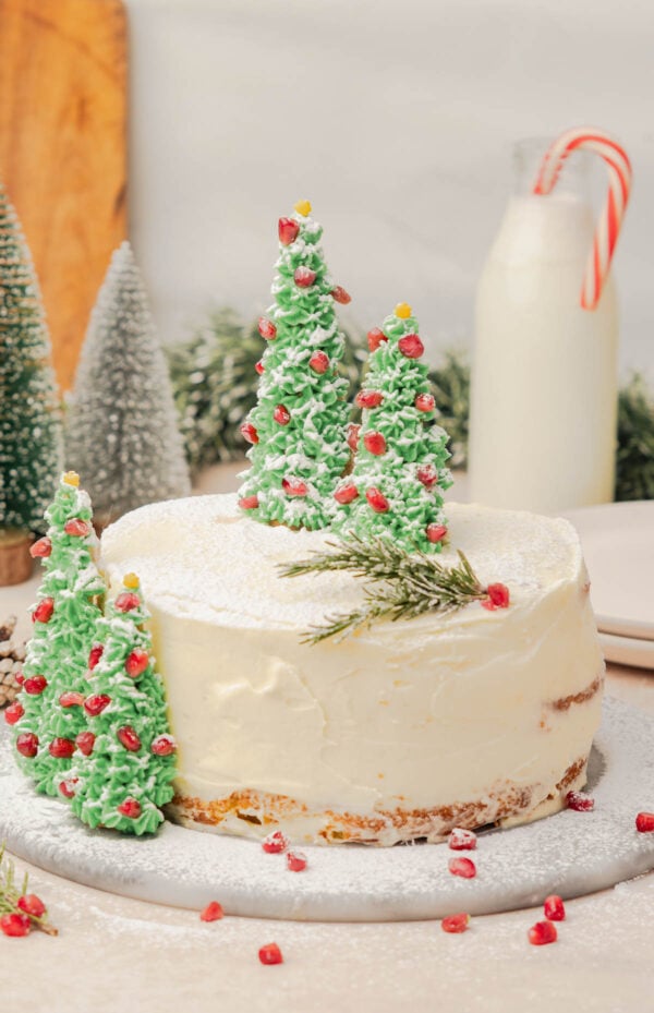 Delicious Christmas Cake Recipe