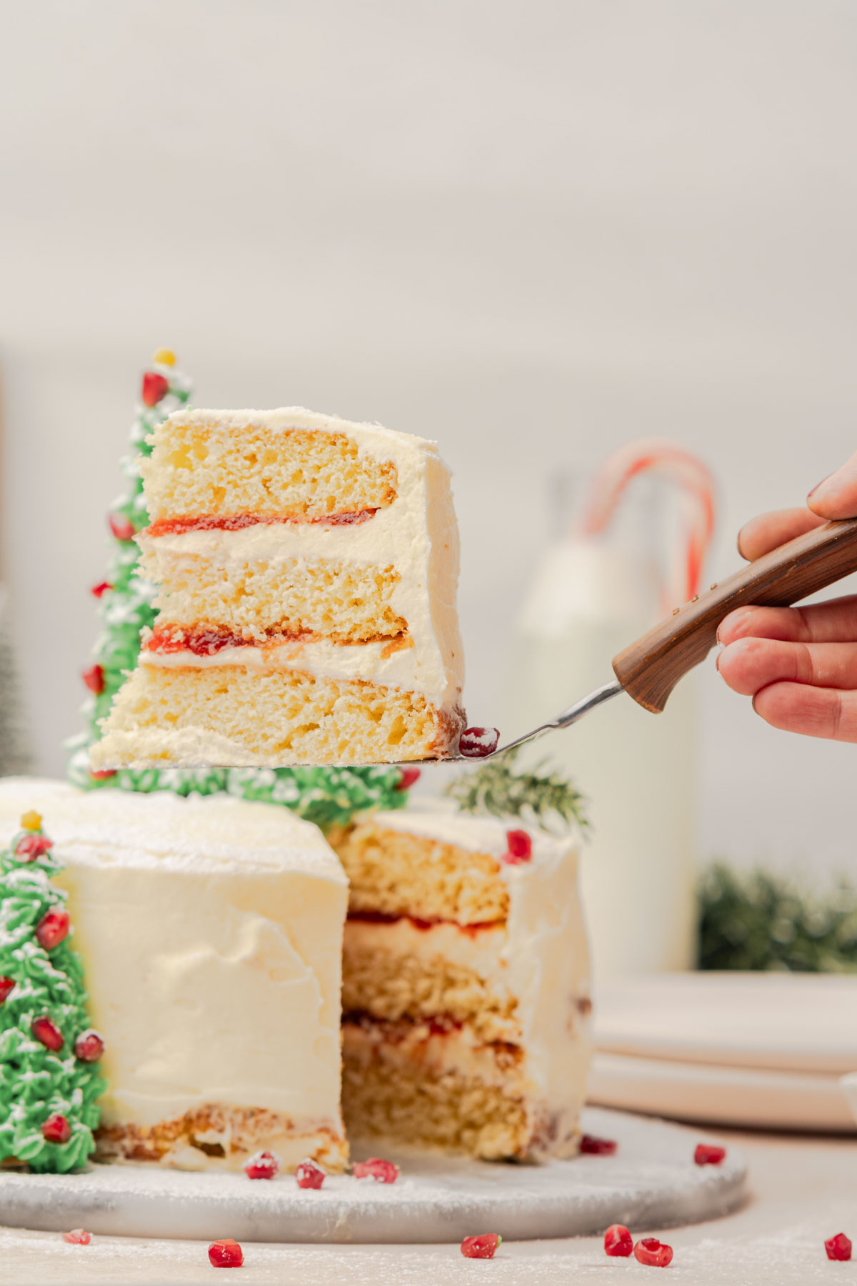Delicious Christmas Cake Recipe
