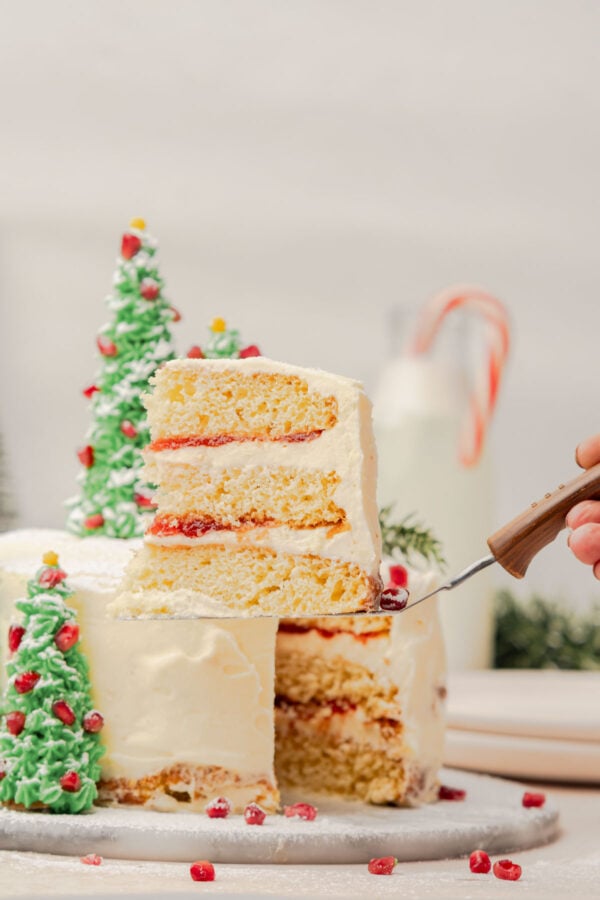 Delicious Christmas Cake Recipe