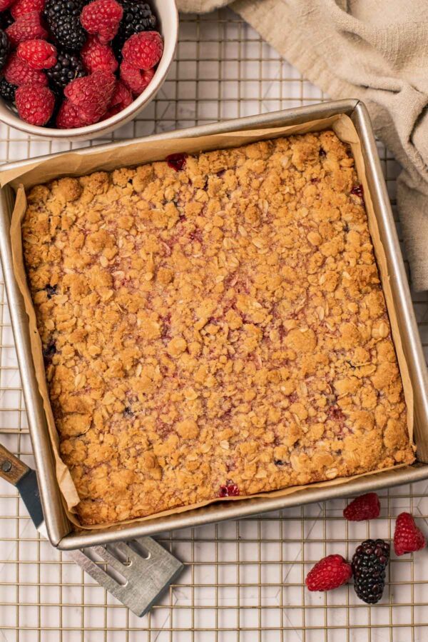 Delicious Shortbread Bars with Berries and Oats - Paper and Stitch